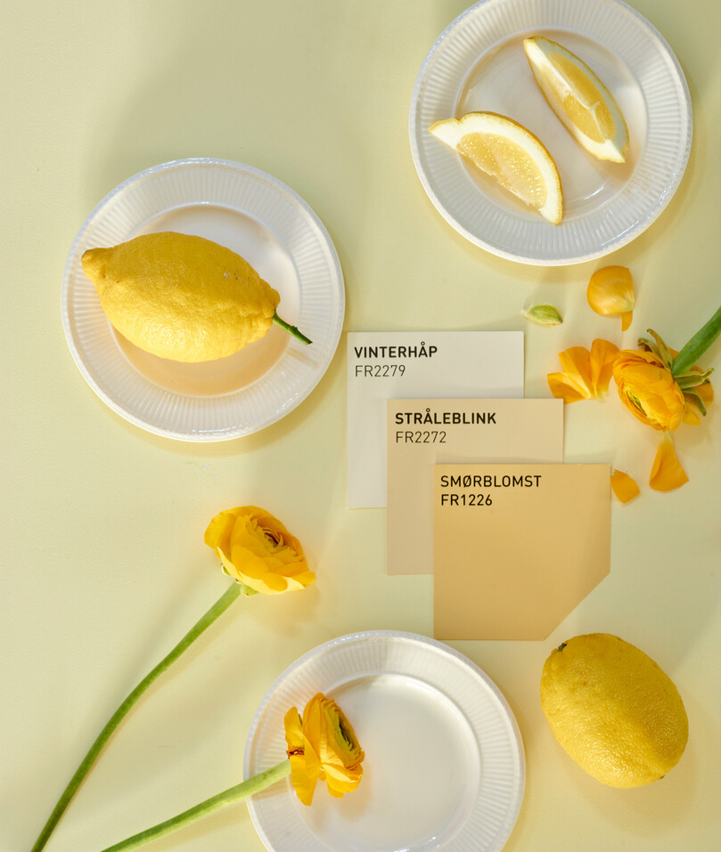 Inspirasjon - Rom - Farger - Bolig - Hjemme hos | Fargerike